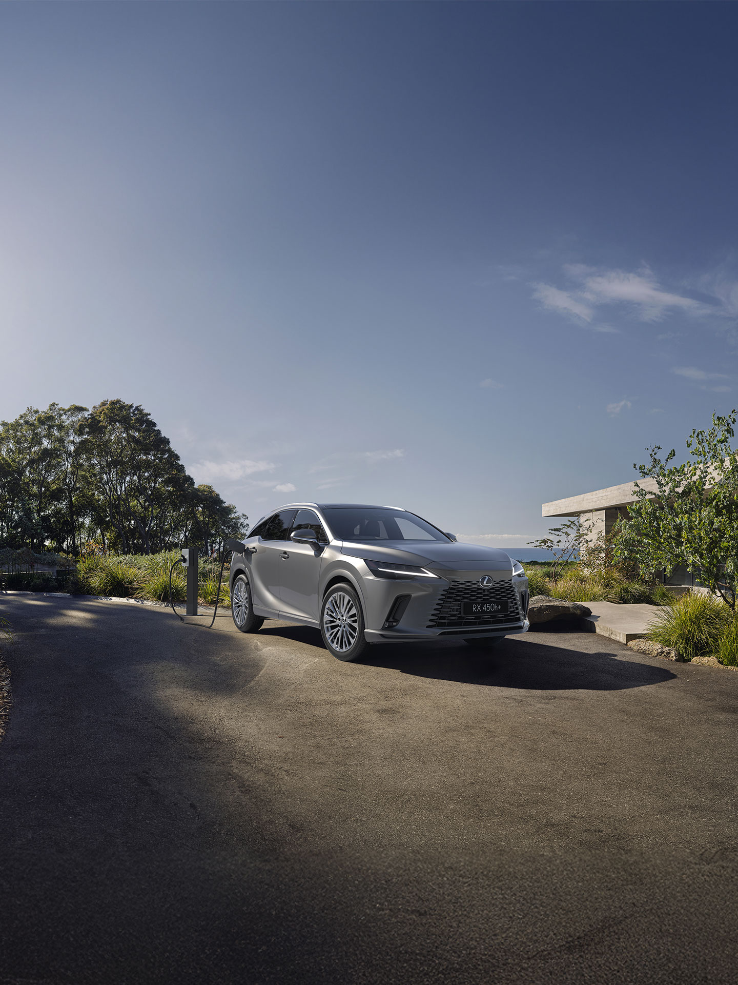 Lexus of Brighton